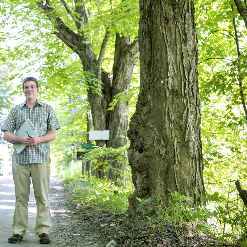 Vermont Tree Wardens: A Voice for the Forest — Vermont Wood Works Council
