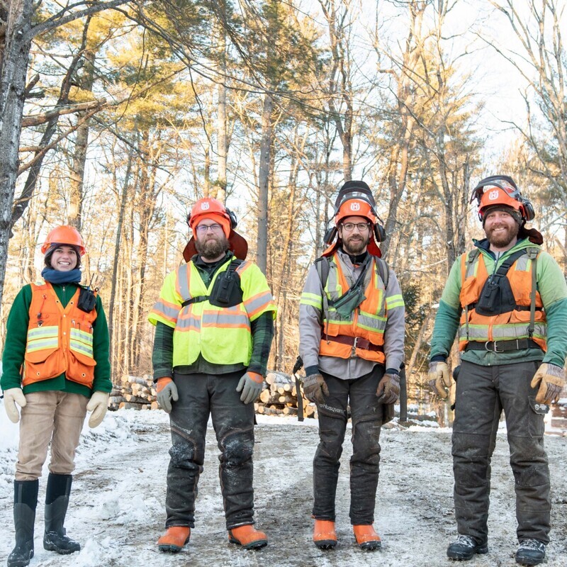 Curious About a Career in the Forest Economy? — Vermont Wood Works Council